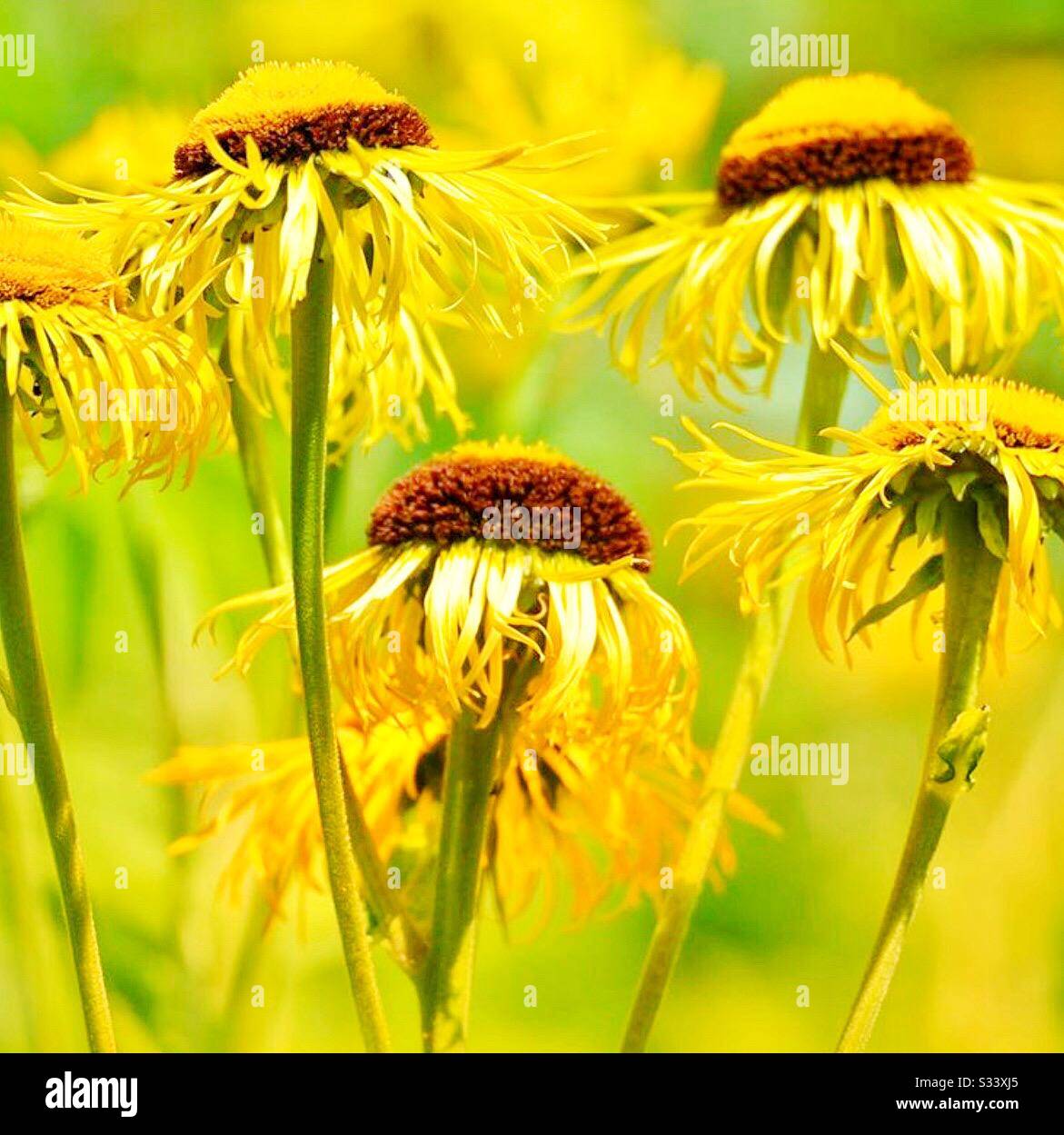 Slight breeze hi-res stock photography and images - Alamy