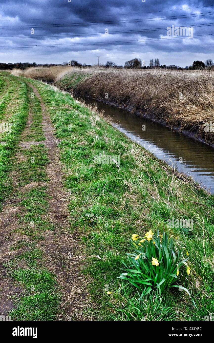 River path by river stream path by stream moody hi-res stock ...