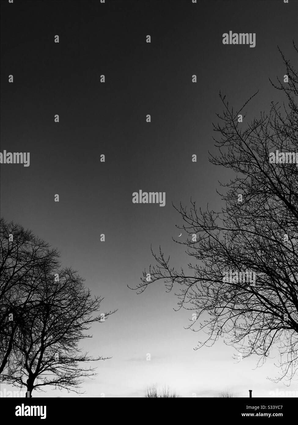 Moon night sky evening hi-res stock photography and images - Alamy