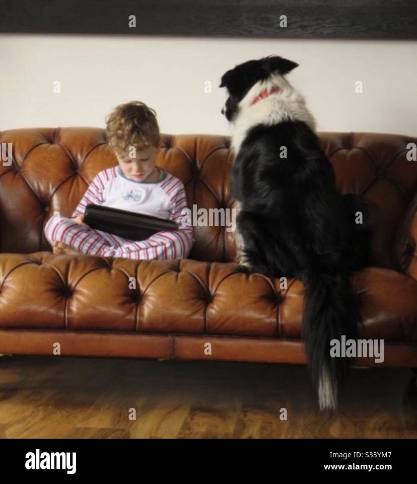 Best buddies hi-res stock photography and images - Alamy