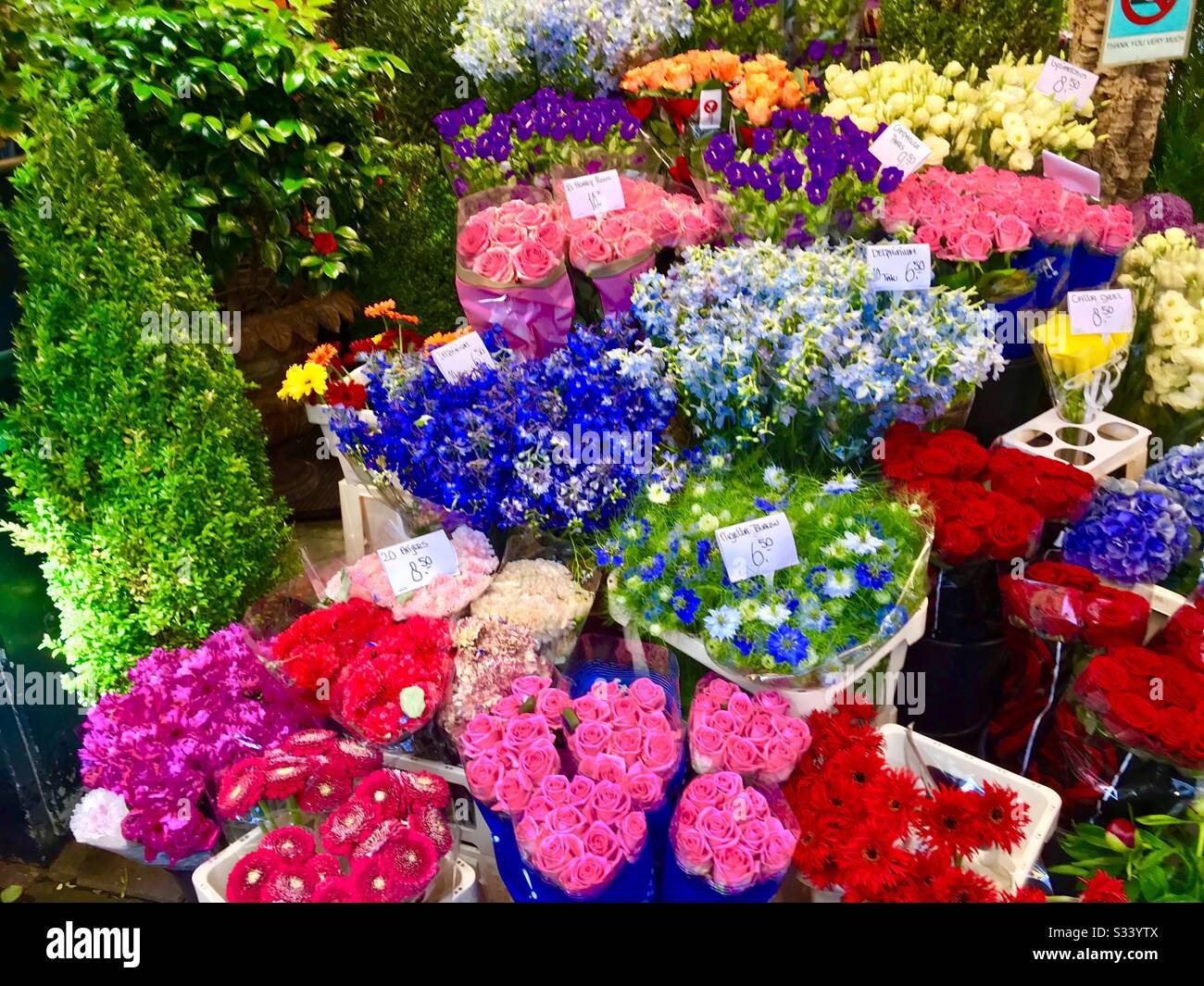 Amsterdam flower market Stock Photo - Alamy