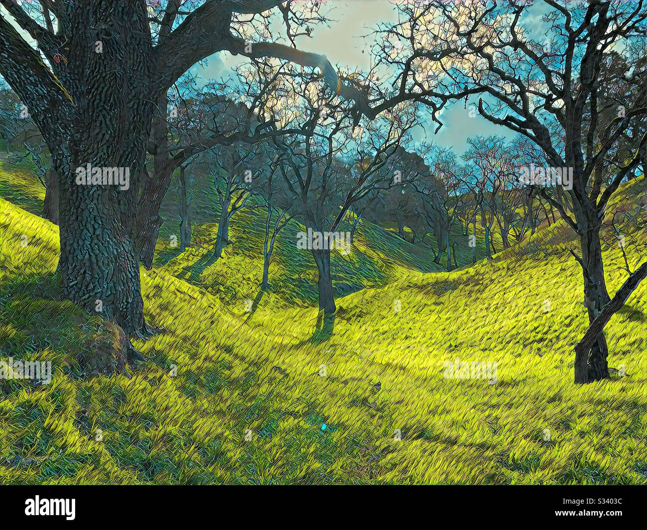 Oak trees on foothills, rendered 1 Stock Photo - Alamy