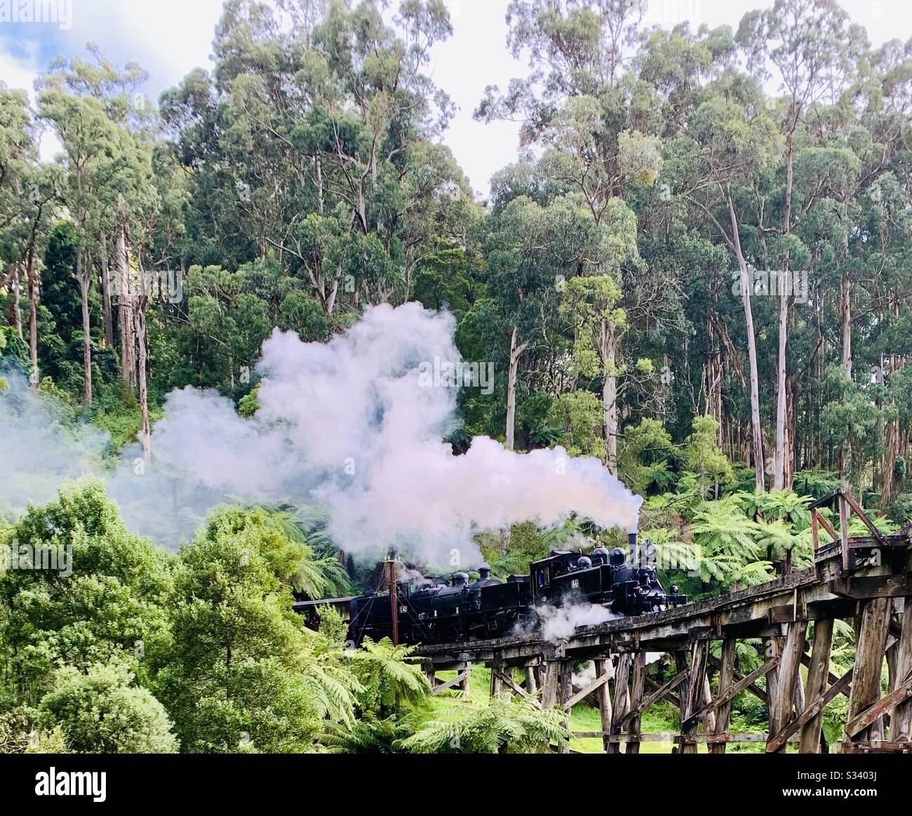 Puffing billy hi-res stock photography and images - Alamy