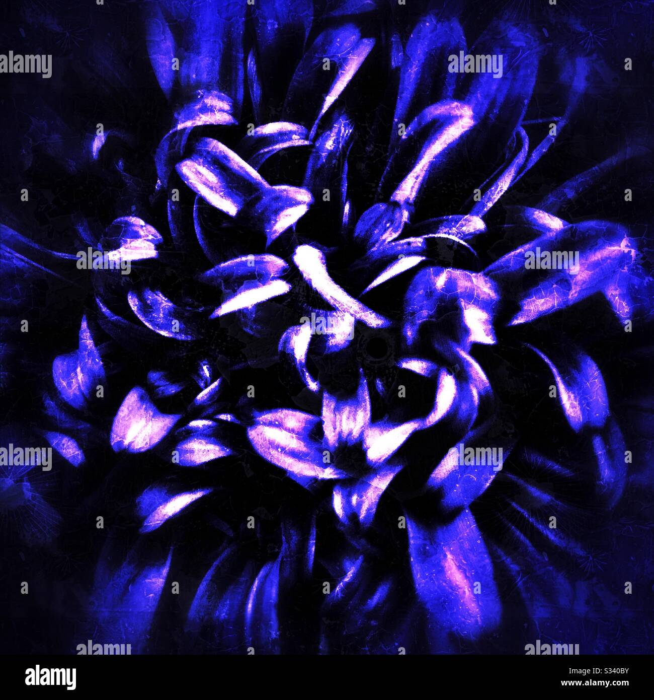 Abstract of flower hi-res stock photography and images - Alamy