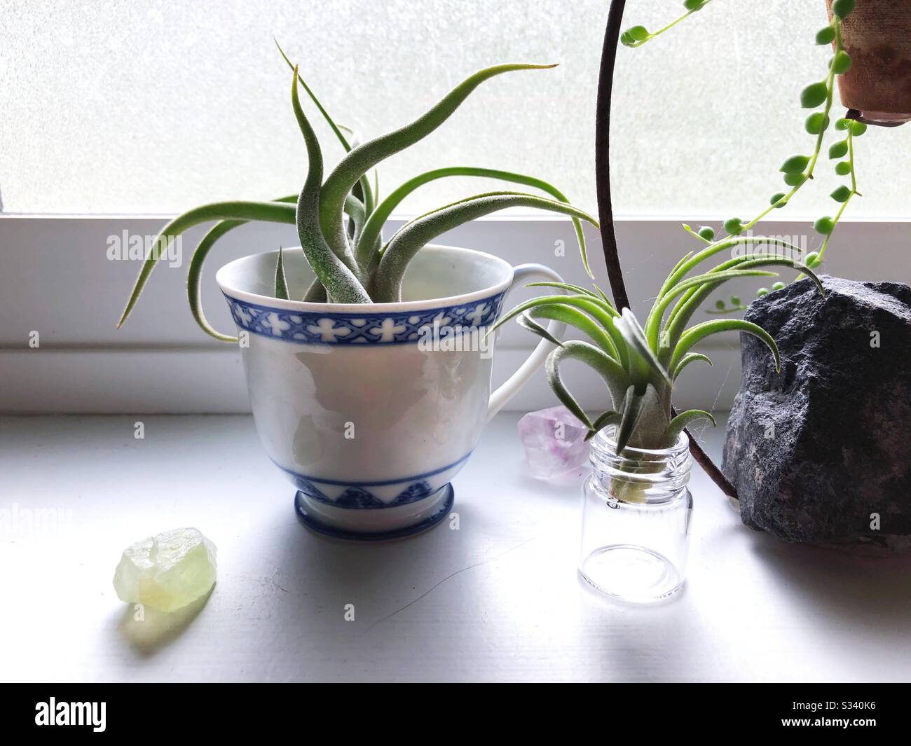 Plants by a window hi-res stock photography and images - Alamy