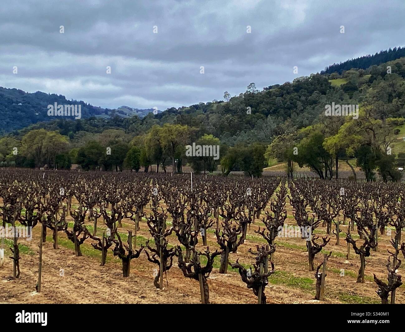 Nor cal spring hi-res stock photography and images - Alamy