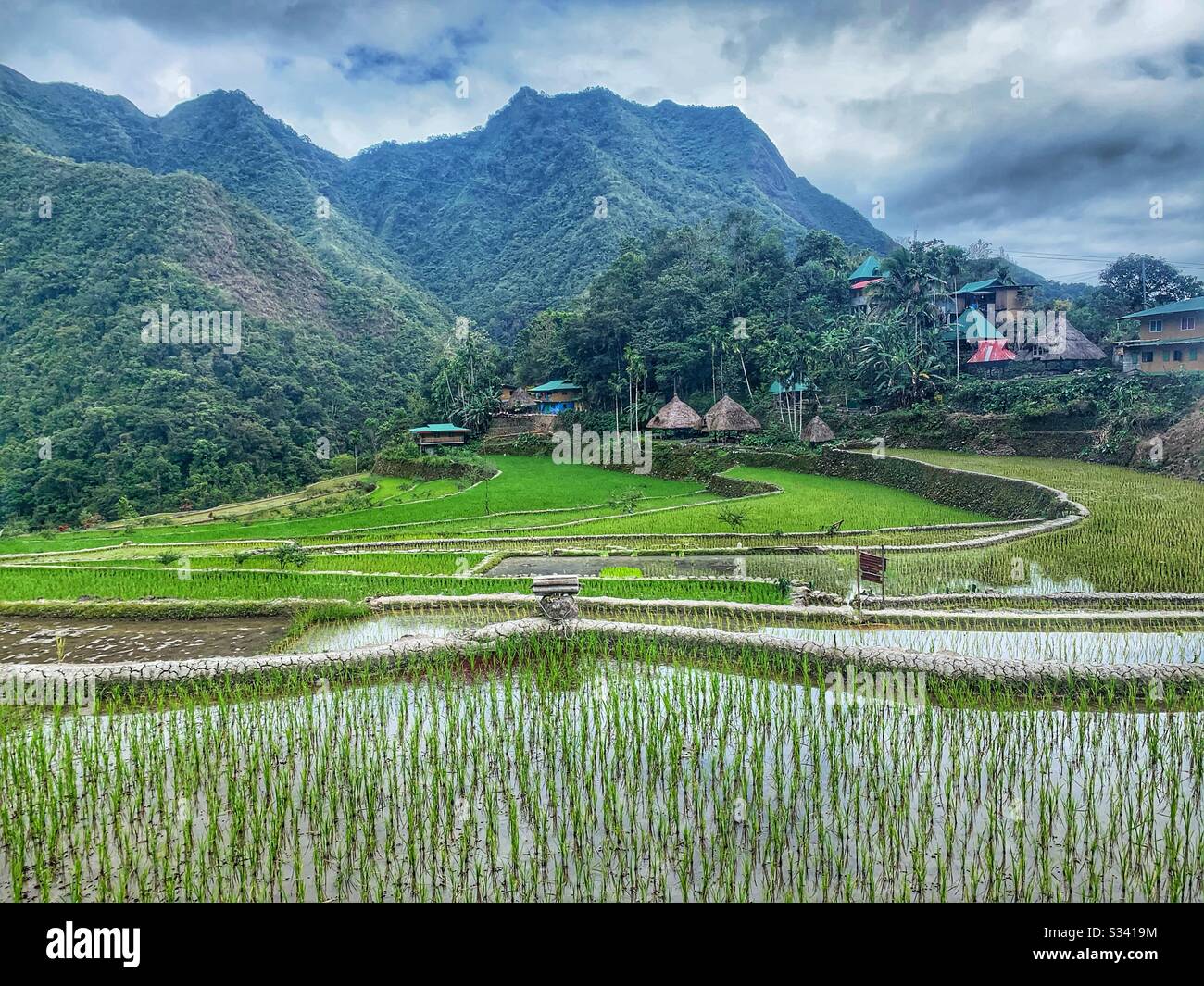 Rice Terraces North Luzon Philippines High Resolution Stock Photography ...