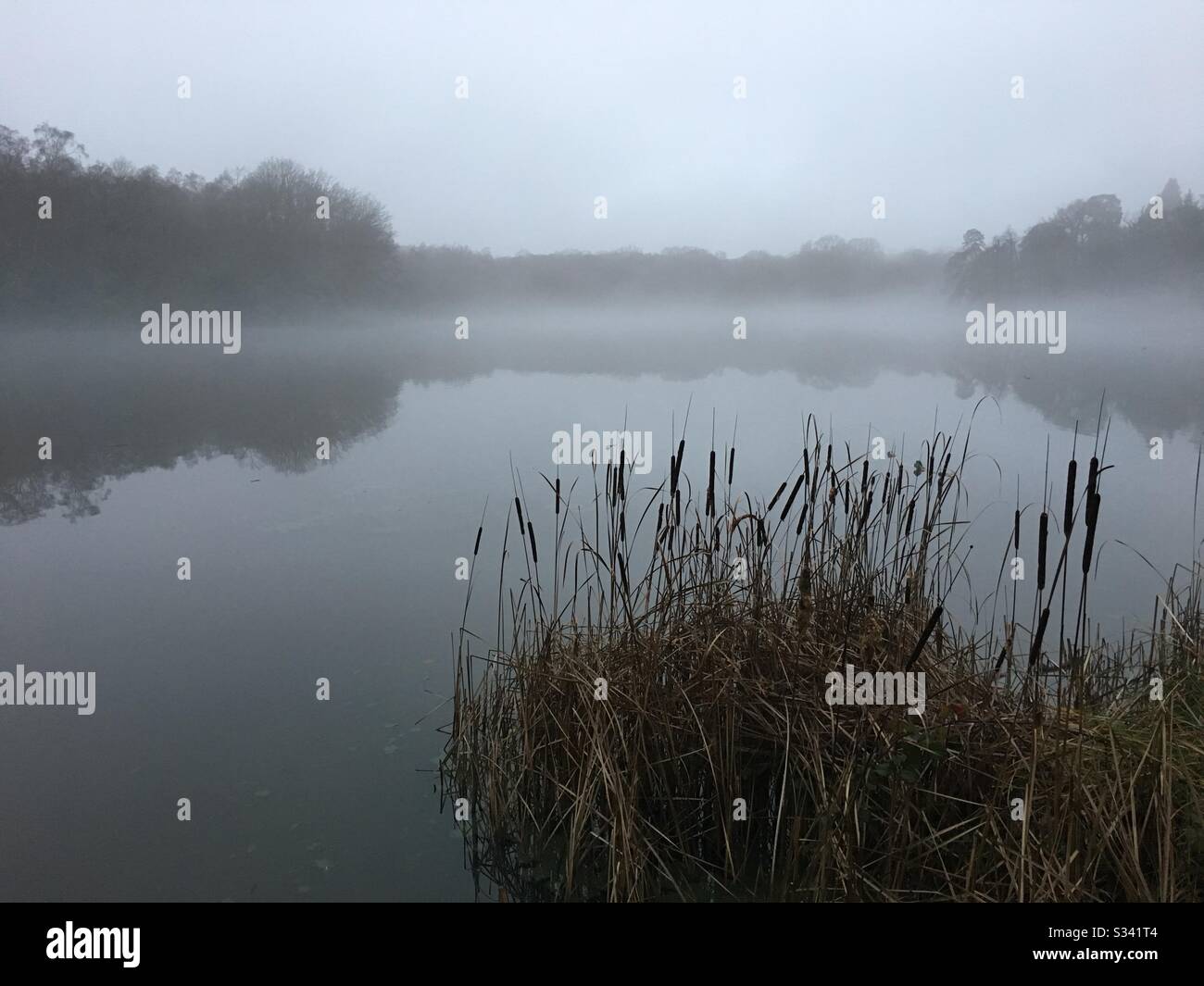 Misty lake hi-res stock photography and images - Alamy