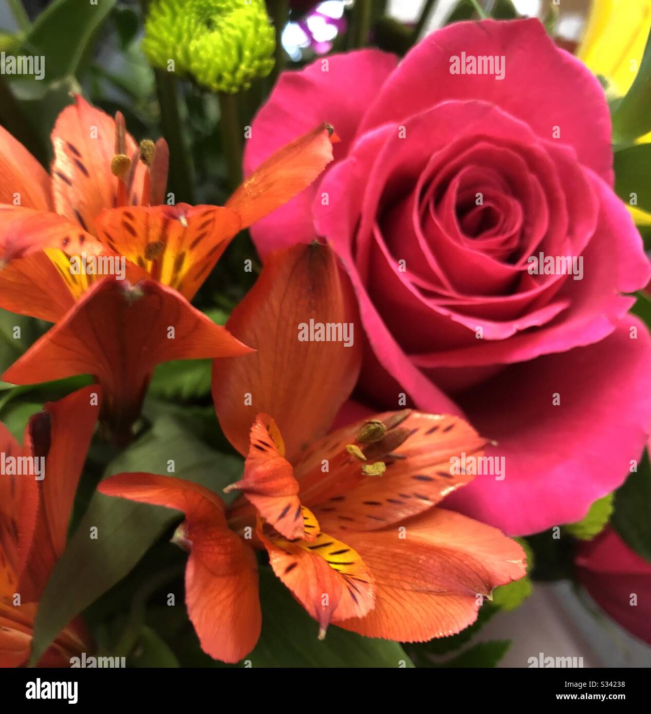 Spring again hi-res stock photography and images - Alamy