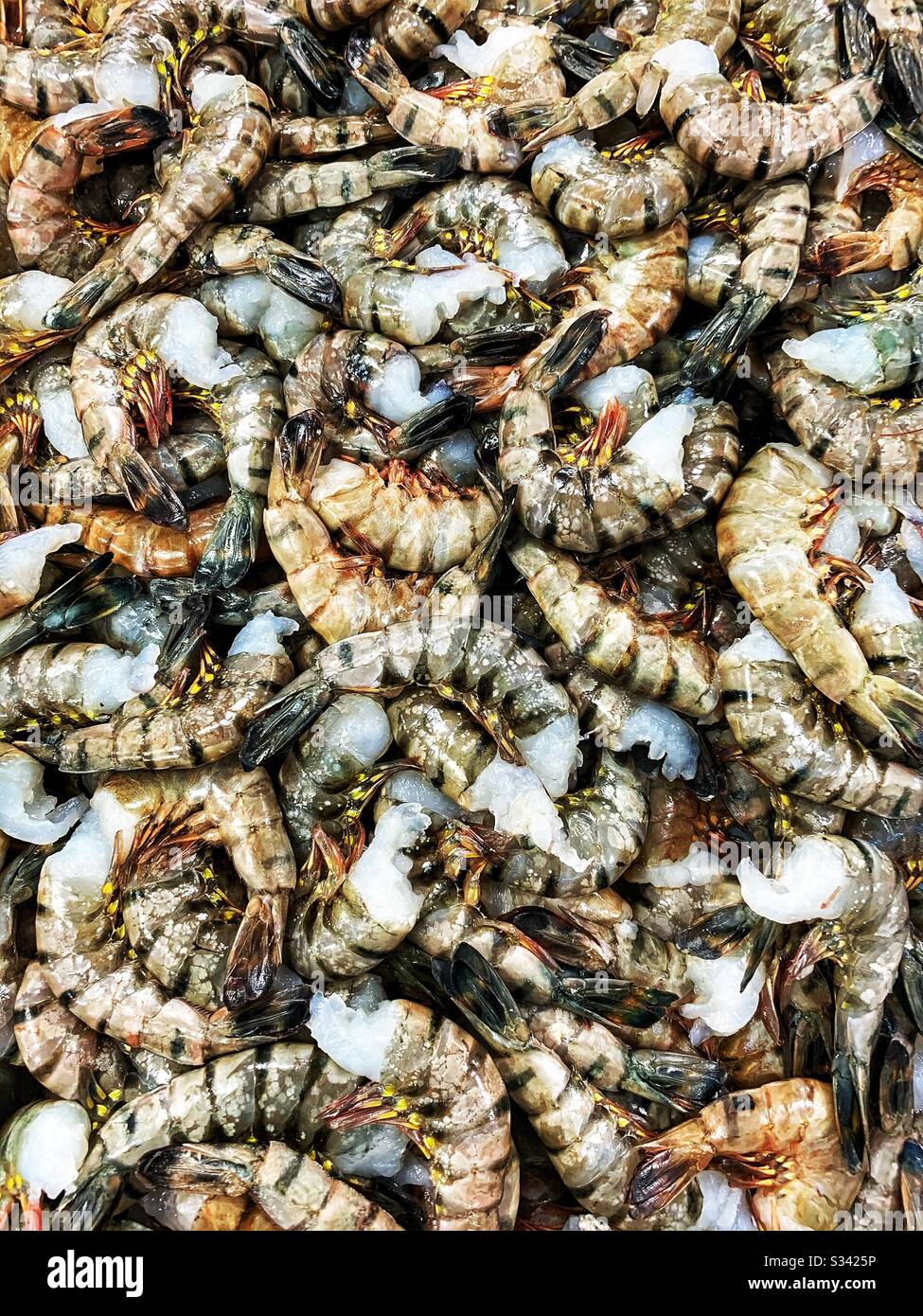 Tiger shrimp hi-res stock photography and images - Alamy