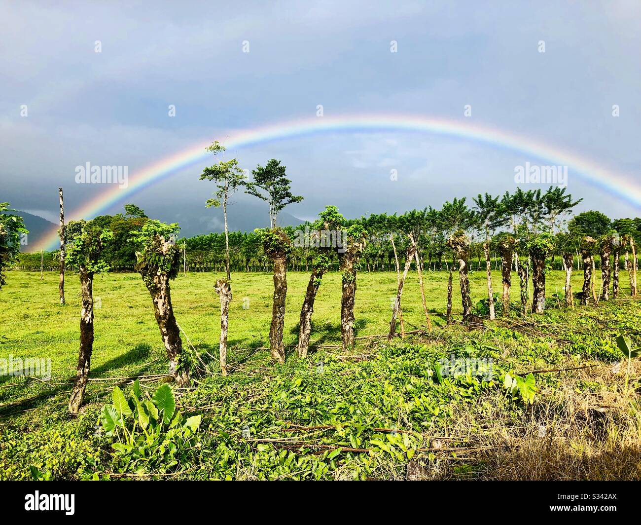 Morning rainbow hi-res stock photography and images - Alamy