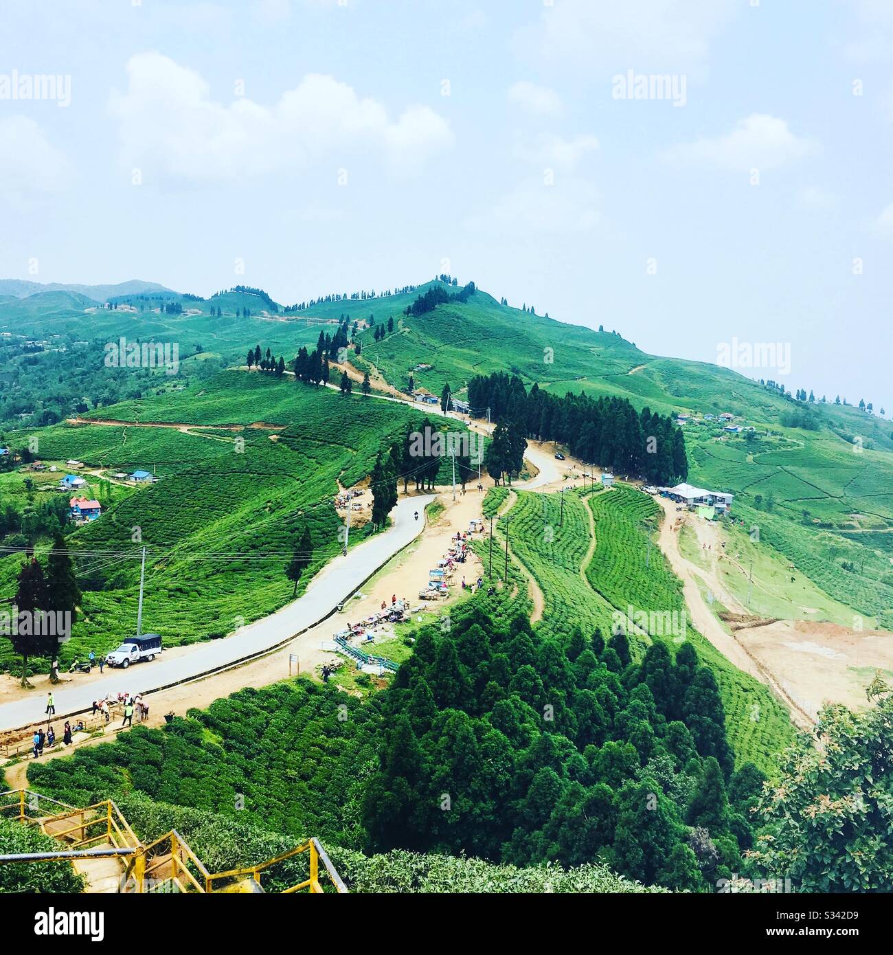 Ilam tea hi-res stock photography and images - Alamy