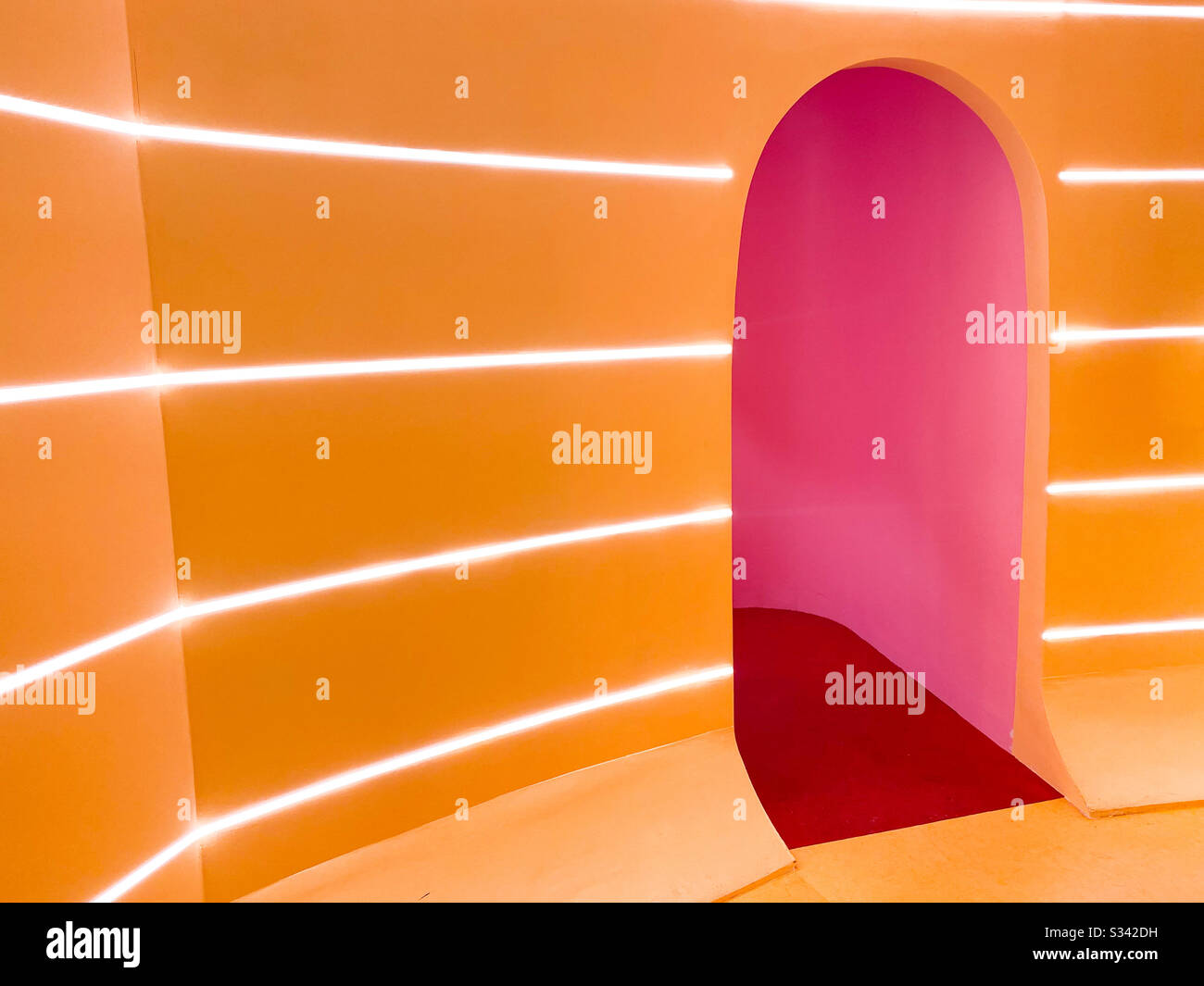 Vibrant, colorful, yellow and pink playful theme background Stock Photo ...