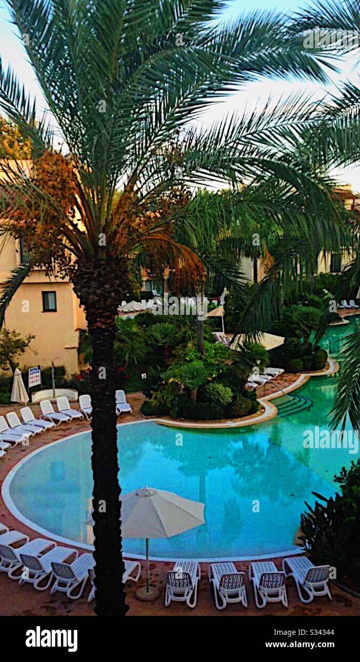 Palm Tree Swimming Pool Misters