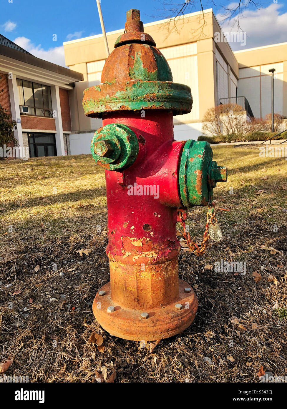 Fire hydrant painted in various colors Stock Photo - Alamy
