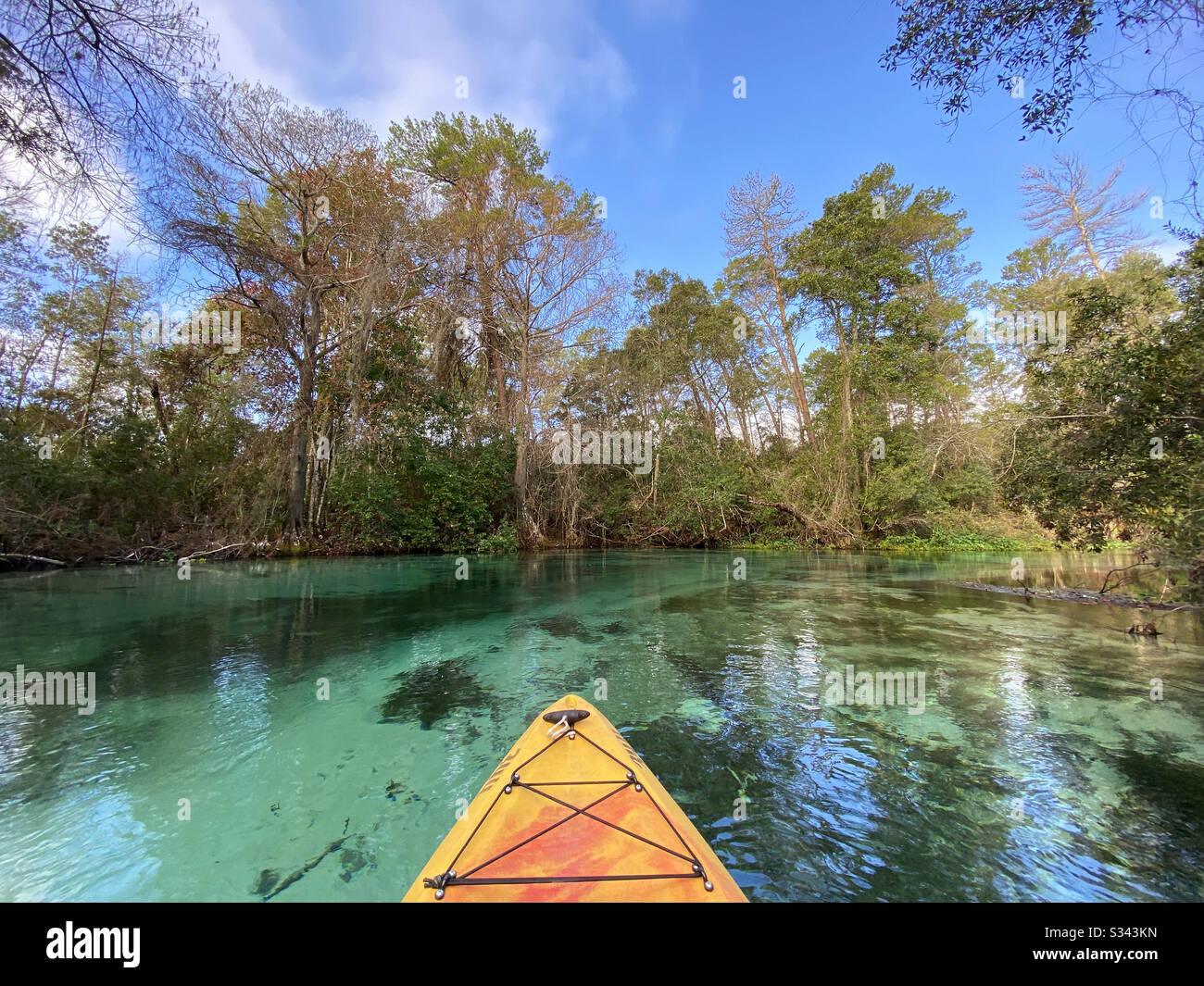 Kayaking Weeki Wachee Springs State Park, Florida Stock Photo - Alamy
