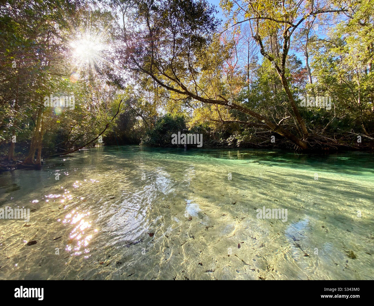 Weeki wachee springs hi-res stock photography and images - Alamy