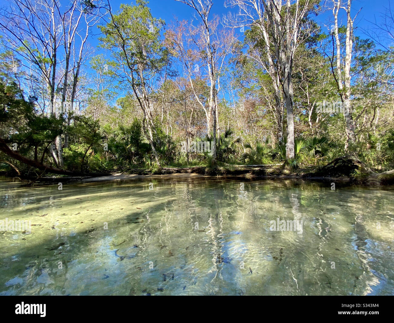 Morning on Weeki Wachee Springs State Park, Florida Stock Photo - Alamy