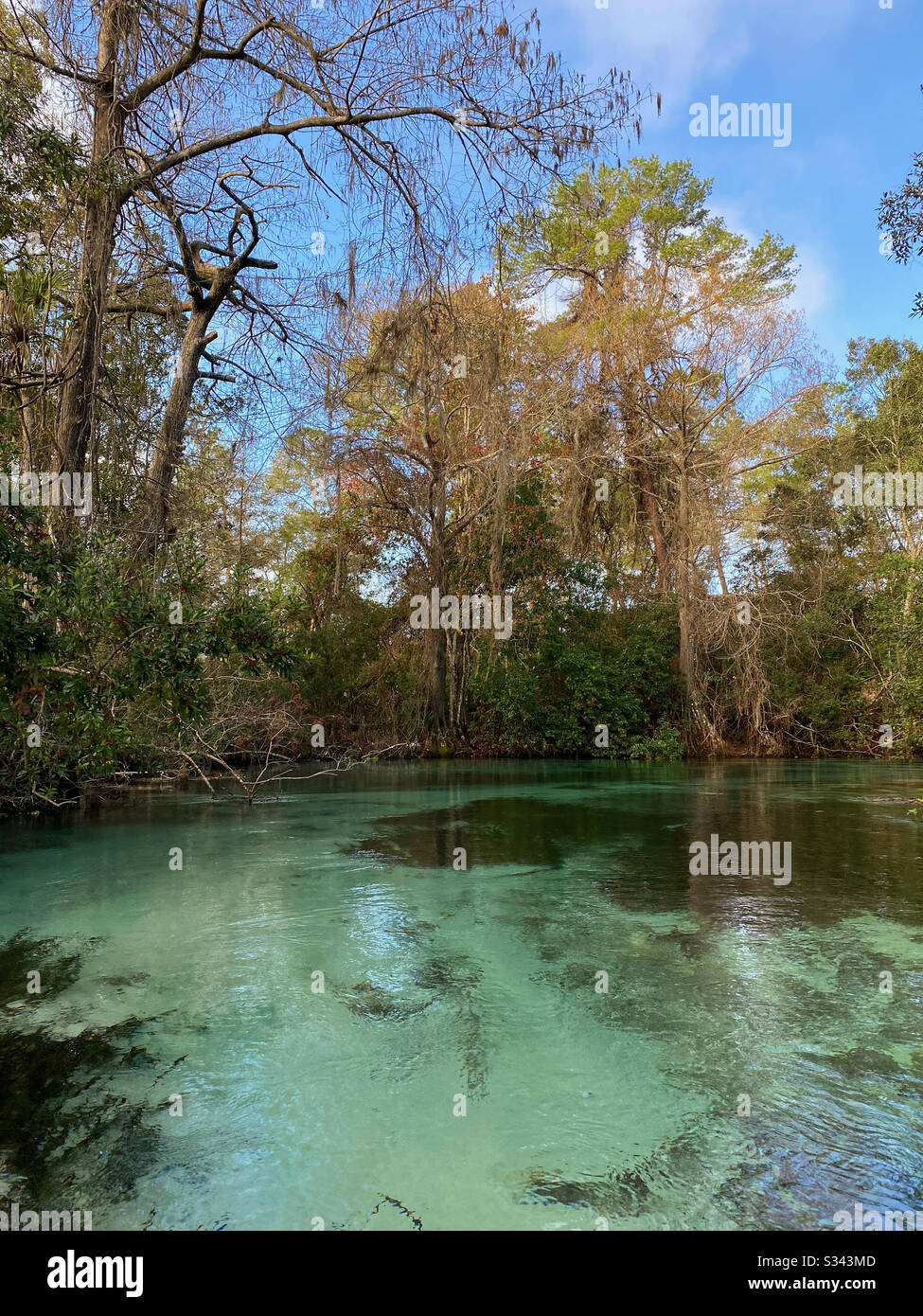Weeki Wachee Springs State Park, Florida Stock Photo - Alamy