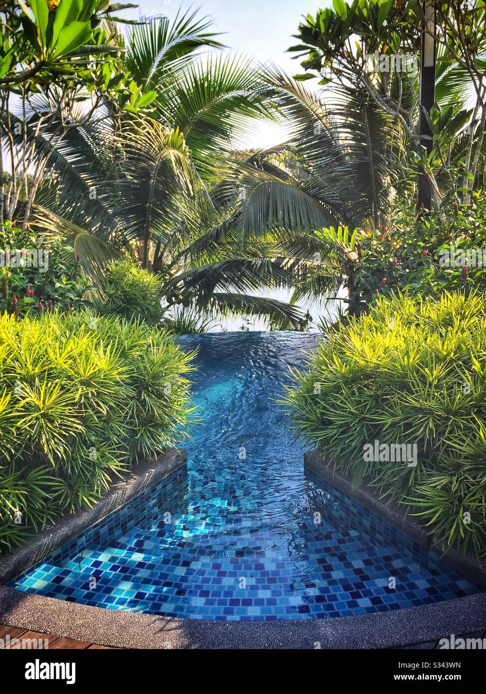 The spa pool adjacent to the main swimming pool at Mangala Resort and ...