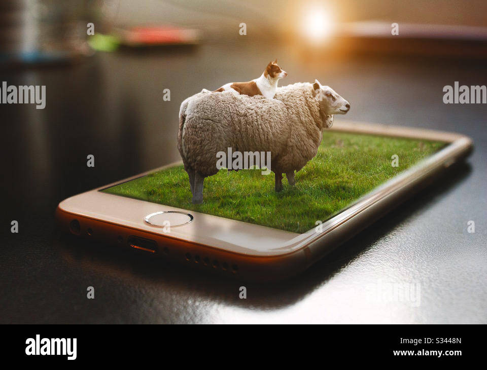 Popup hi-res stock photography and images - Alamy