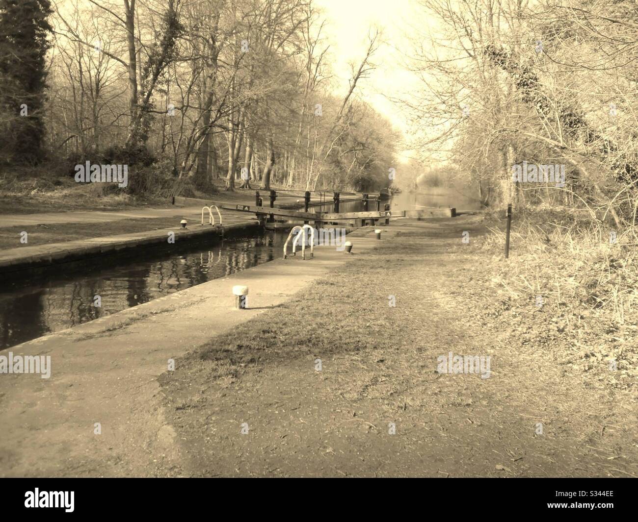Canal in Cassiobury Park, Watford Stock Photo - Alamy