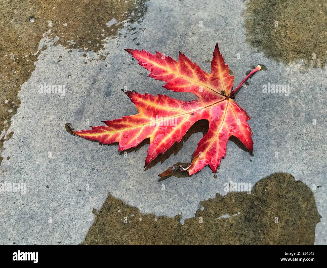 Puddle concrete hi-res stock photography and images - Alamy