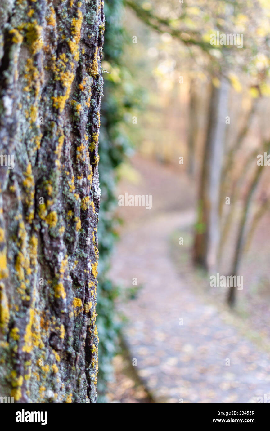 Full_color hi-res stock photography and images - Alamy