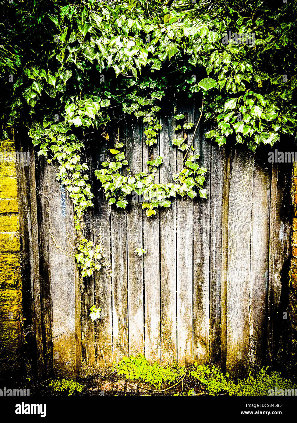 Ivy gate hi-res stock photography and images - Alamy