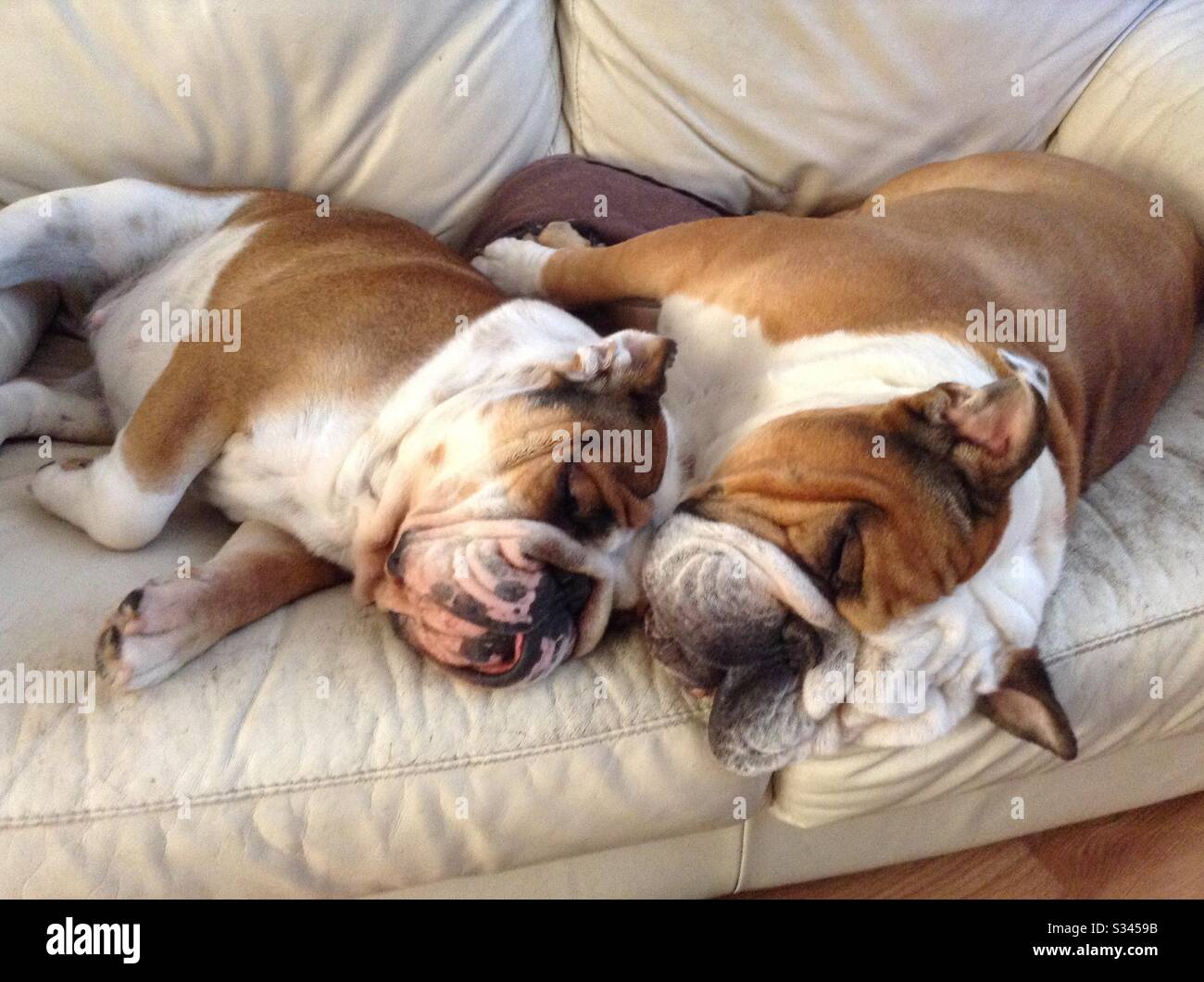 Best family hi-res stock photography and images - Alamy