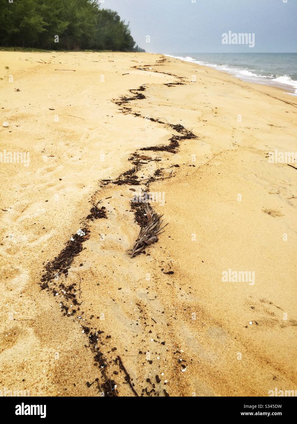 The high water line on the beach, Batu Rakit, Terengganu, Malaysia ...