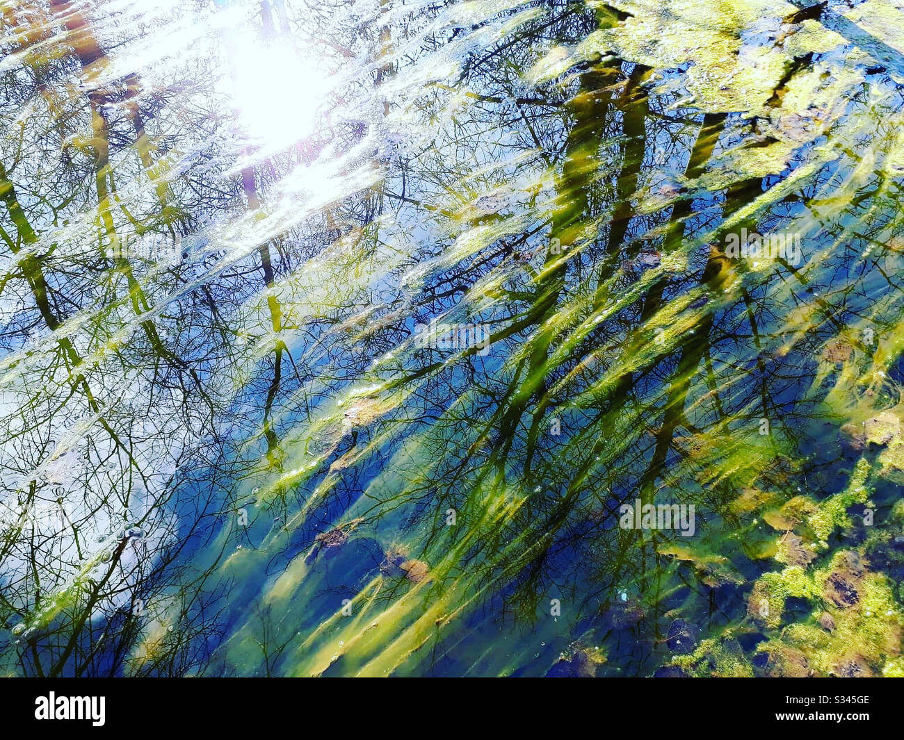 Whats under the water hi-res stock photography and images - Alamy