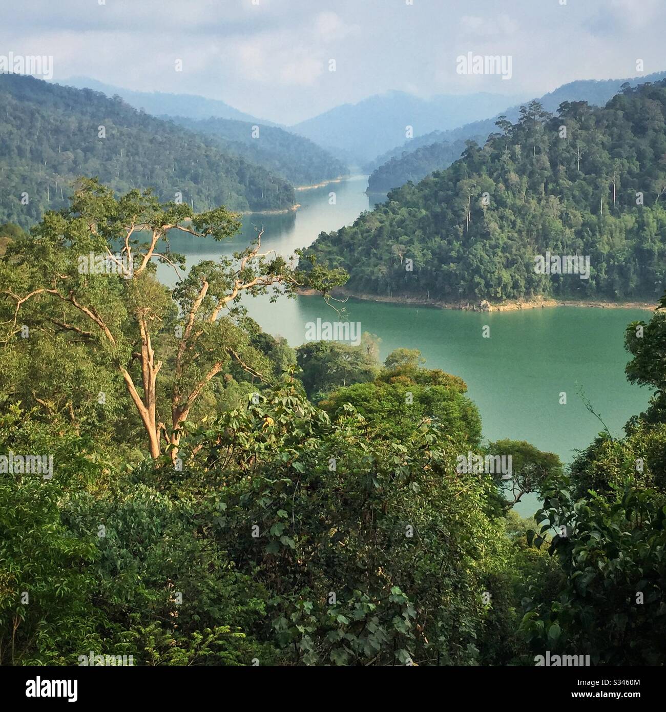 An arm of Lake Telenggor, a man-made lake created for hydroelectric ...