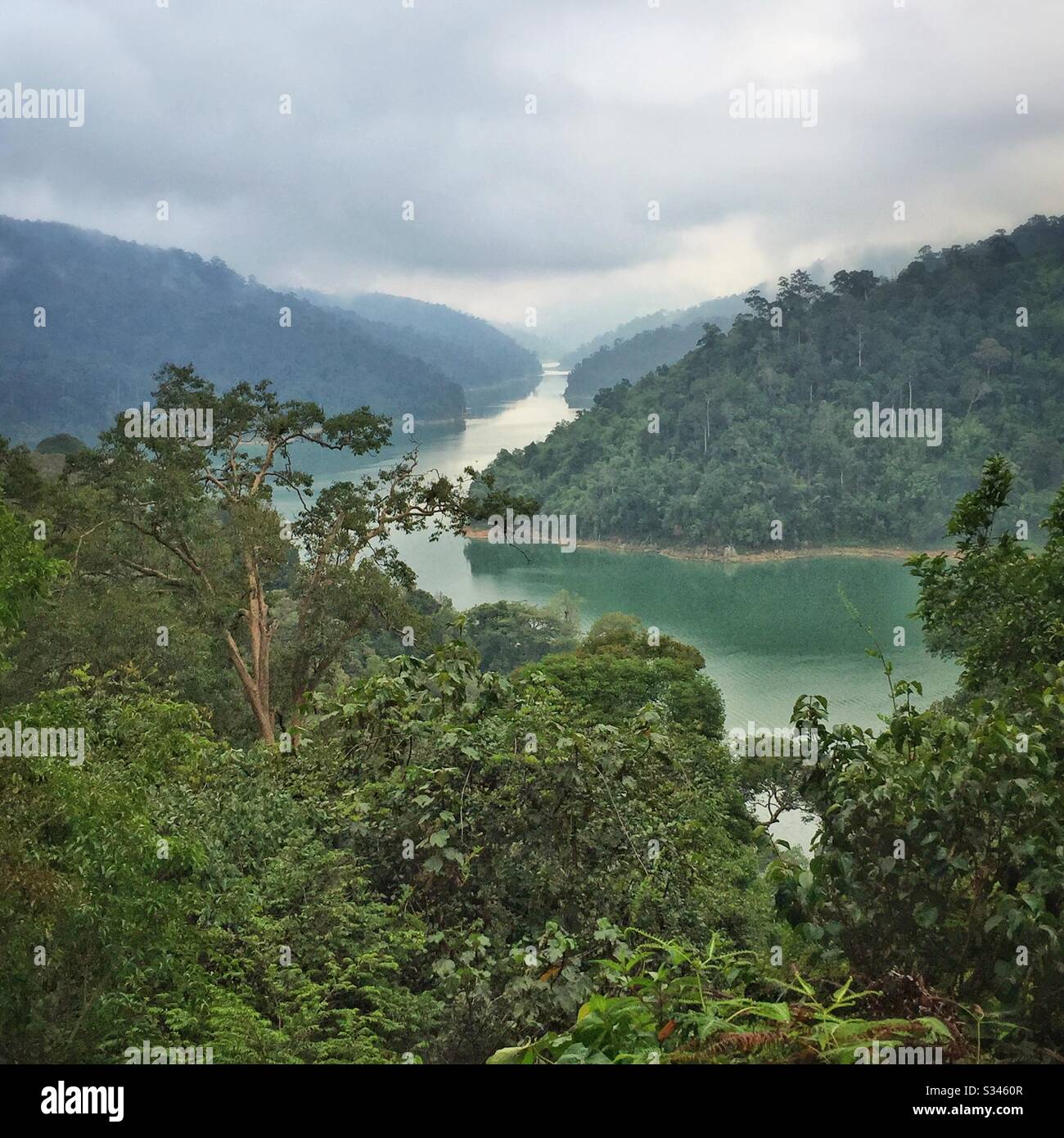 An arm of Lake Telenggor, a man-made lake created for hydroelectric ...