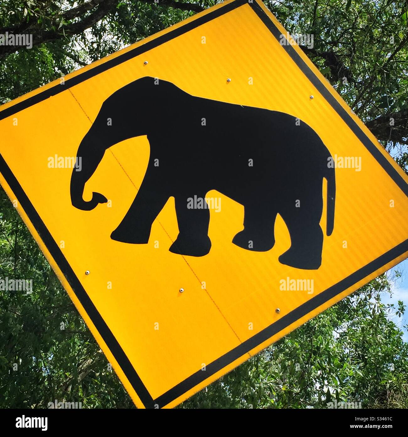 Road sign warning of presence of wild elephants, Timur-Barat Highway ...