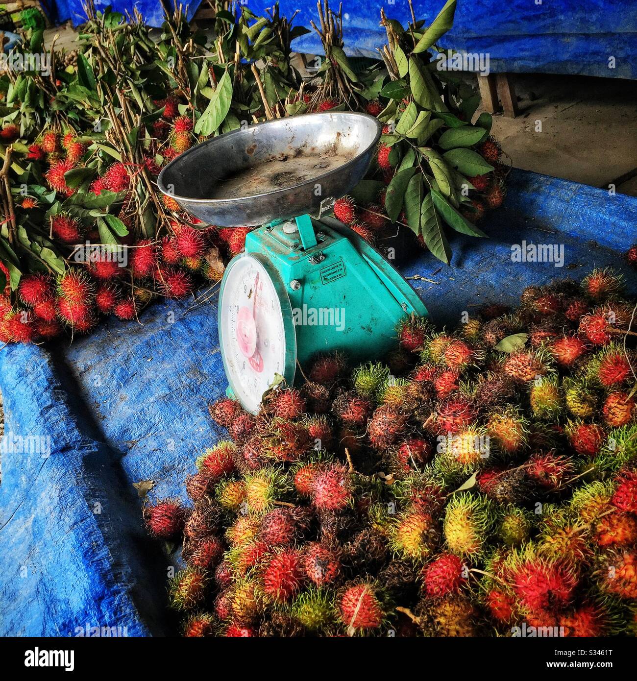 Locally grown rambutan for sale at a roadside stall, Kampung Kuala ...
