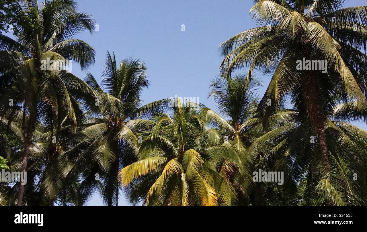 Jamaica St Thomas High Resolution Stock Photography and Images - Alamy