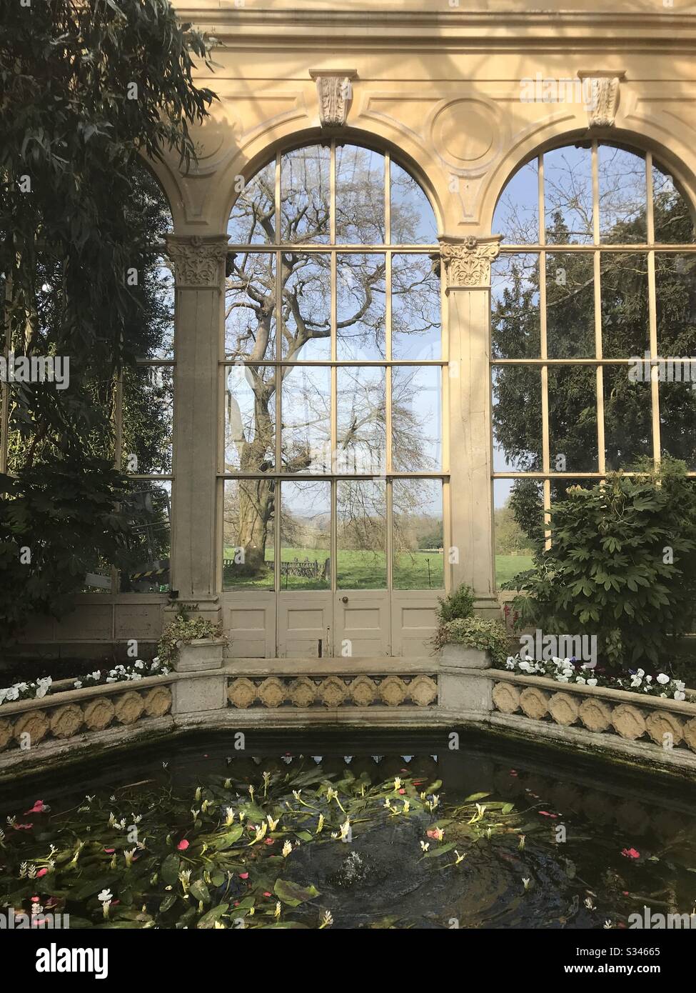 Orangery plants hi-res stock photography and images - Alamy