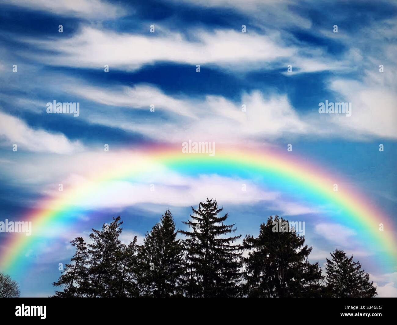 Rainbow over evergreens in a blue sky of white wispy clouds Stock Photo ...