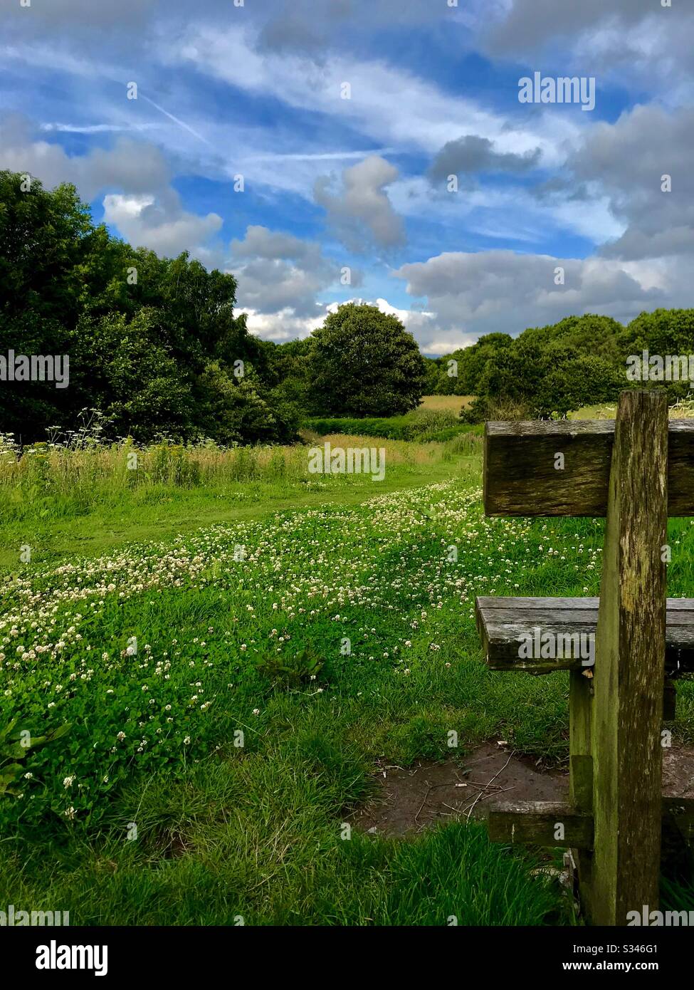 Summer view hi-res stock photography and images - Alamy