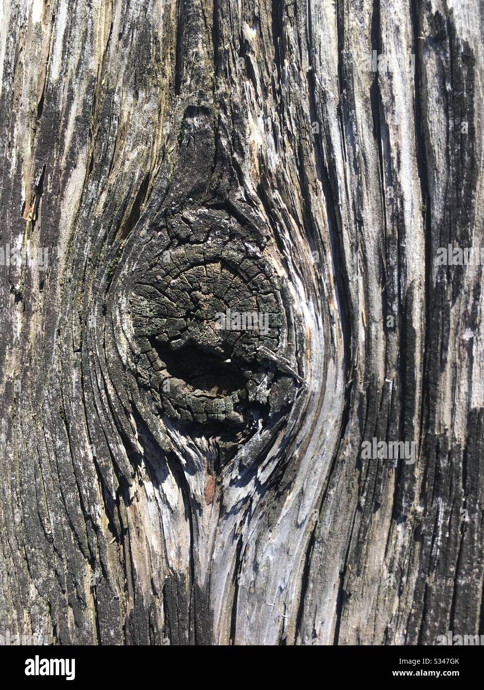 Weathered knot in old wooden plank Stock Photo - Alamy