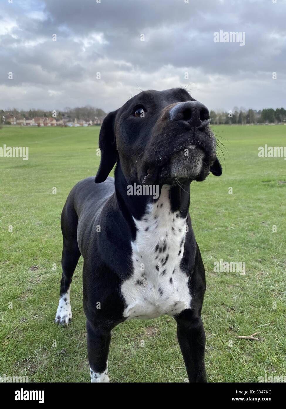 Friend walks hi-res stock photography and images - Alamy