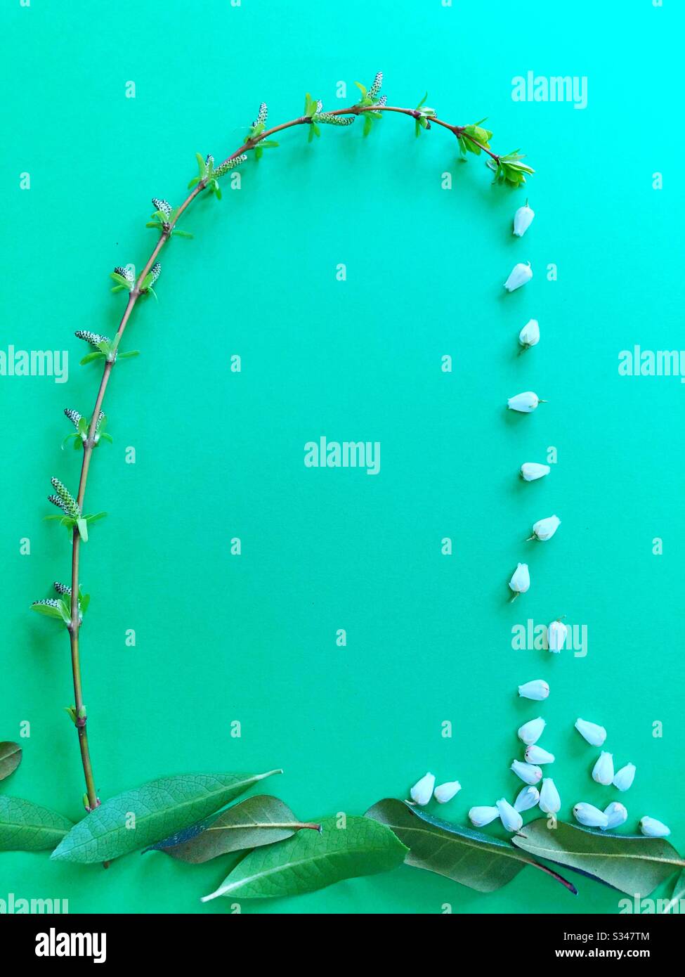 Tree is crying hi-res stock photography and images - Alamy