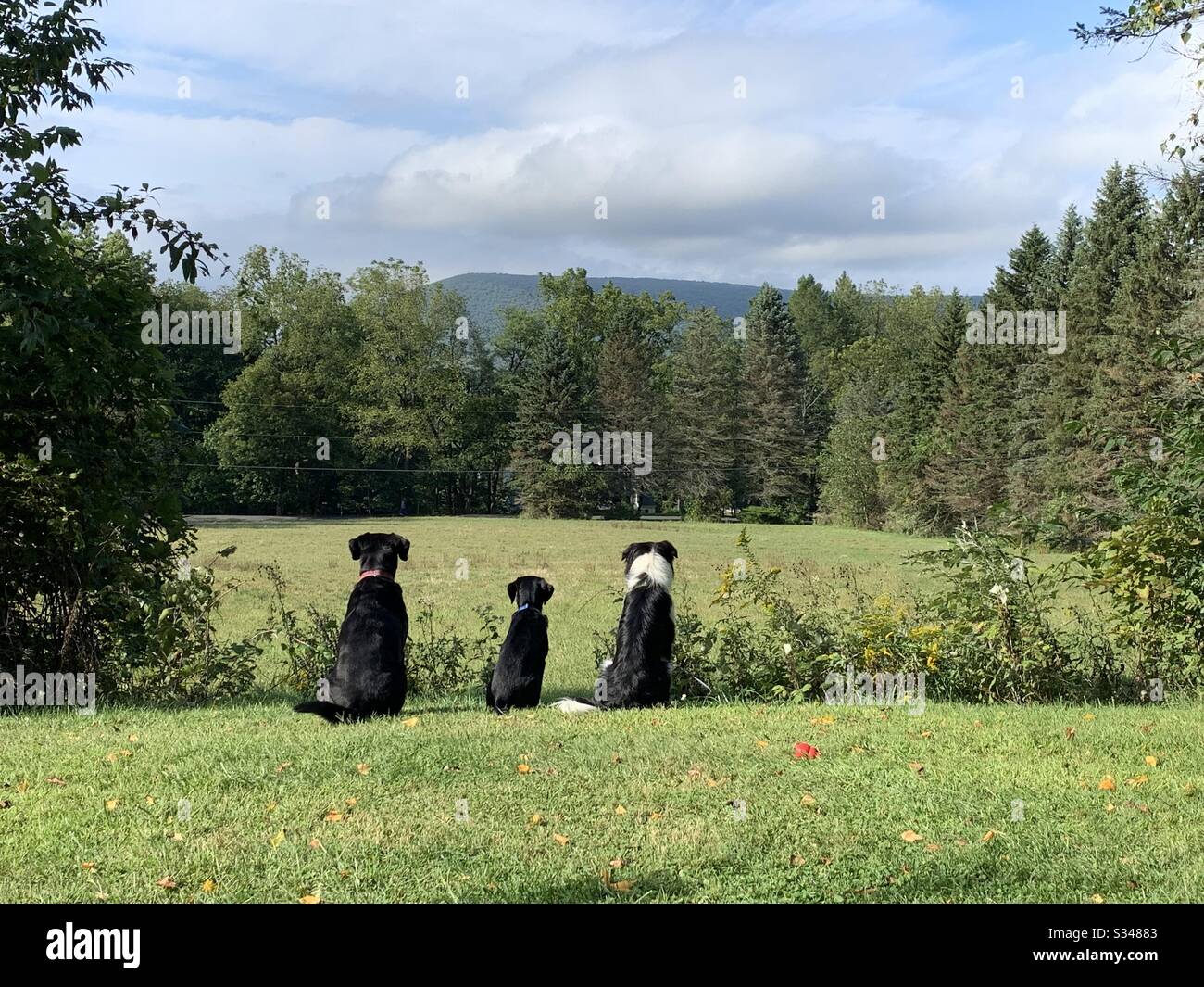 Waiting return hi-res stock photography and images - Alamy
