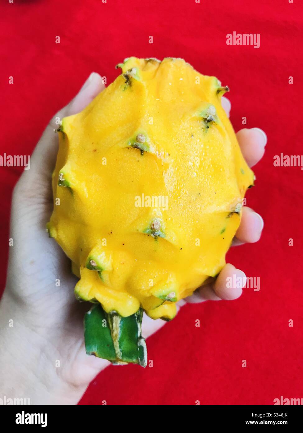 Pitaya amarilla hi-res stock photography and images - Alamy