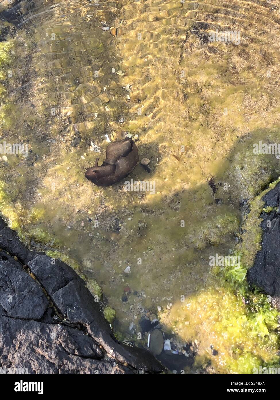 Pools in the sand hi-res stock photography and images - Alamy