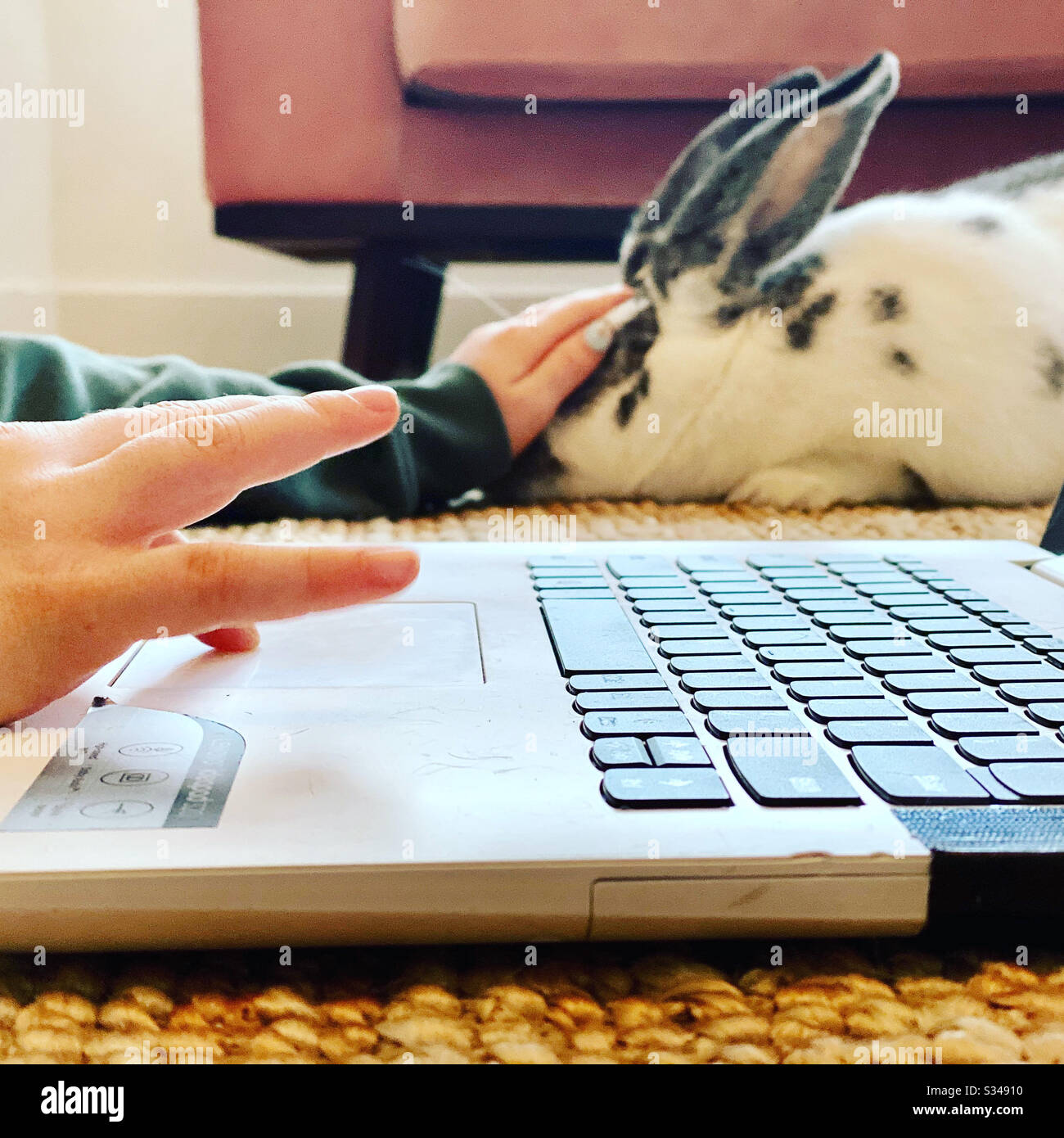 Homework laptop hi-res stock photography and images - Alamy