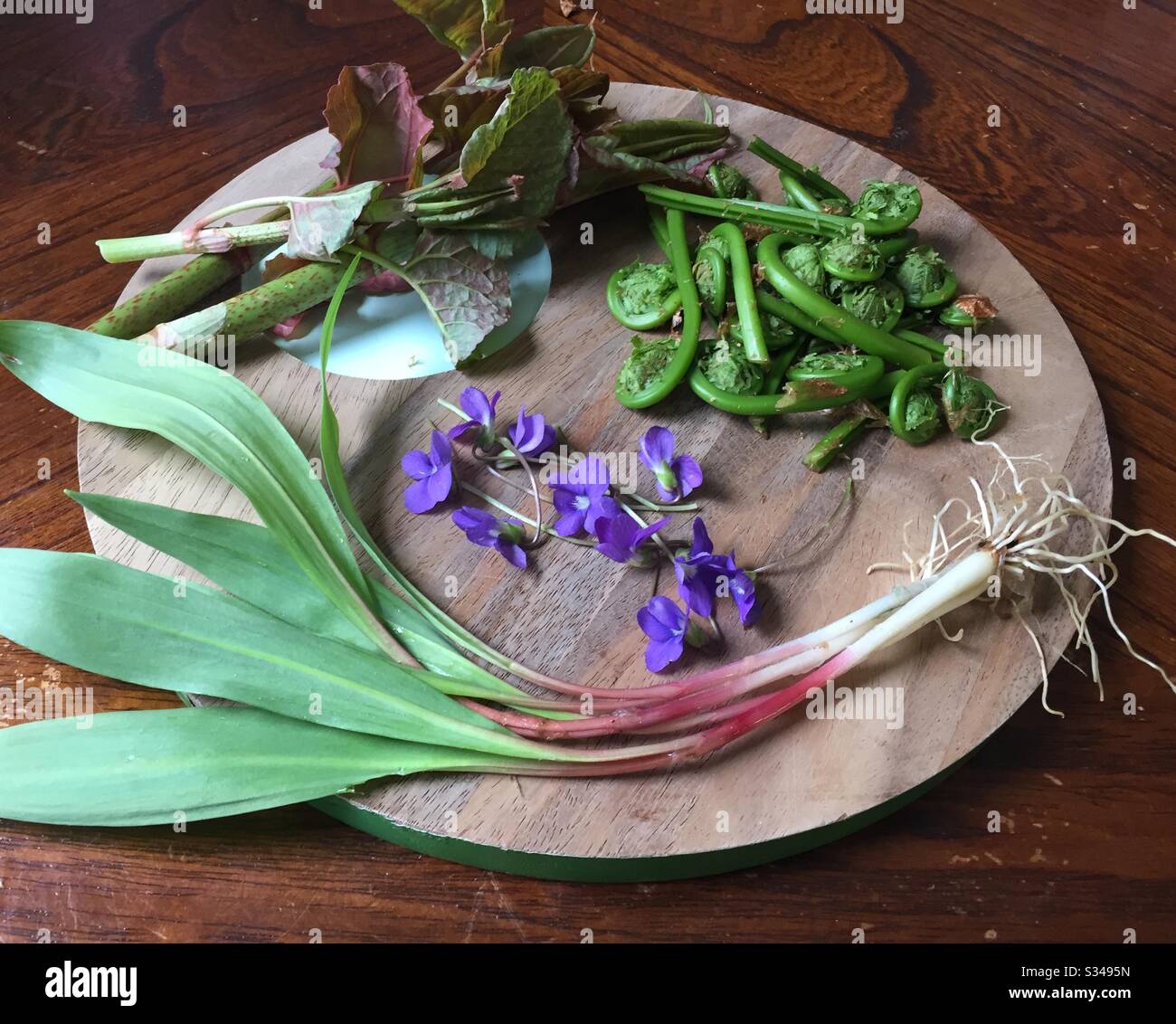 Foraged foods from Pennsylvania. Ramps, Japanese knotweed, violets, and ...