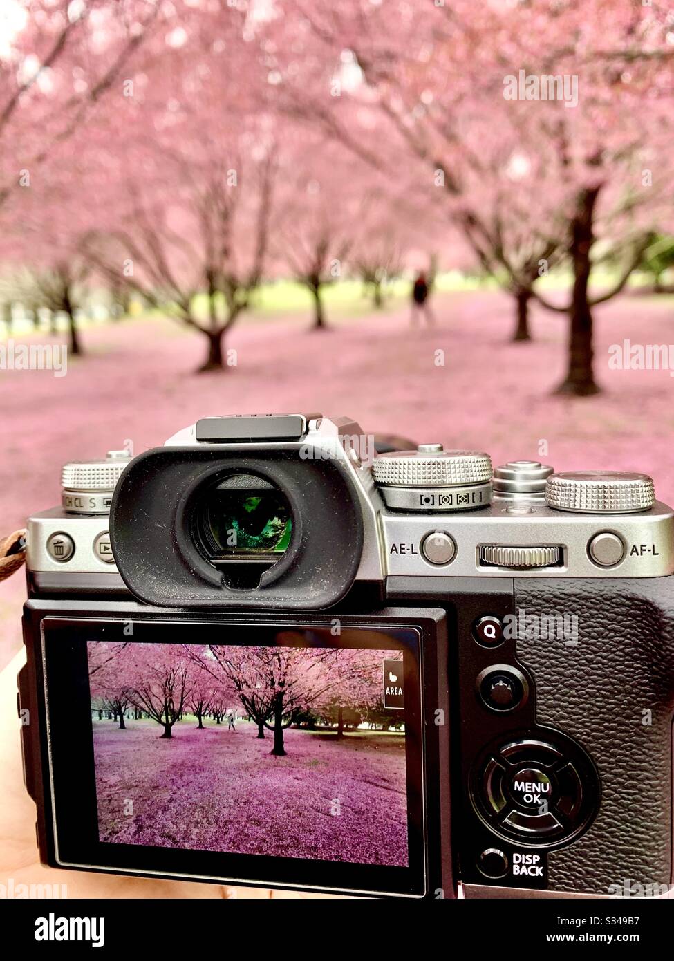 Pocture hi-res stock photography and images - Alamy