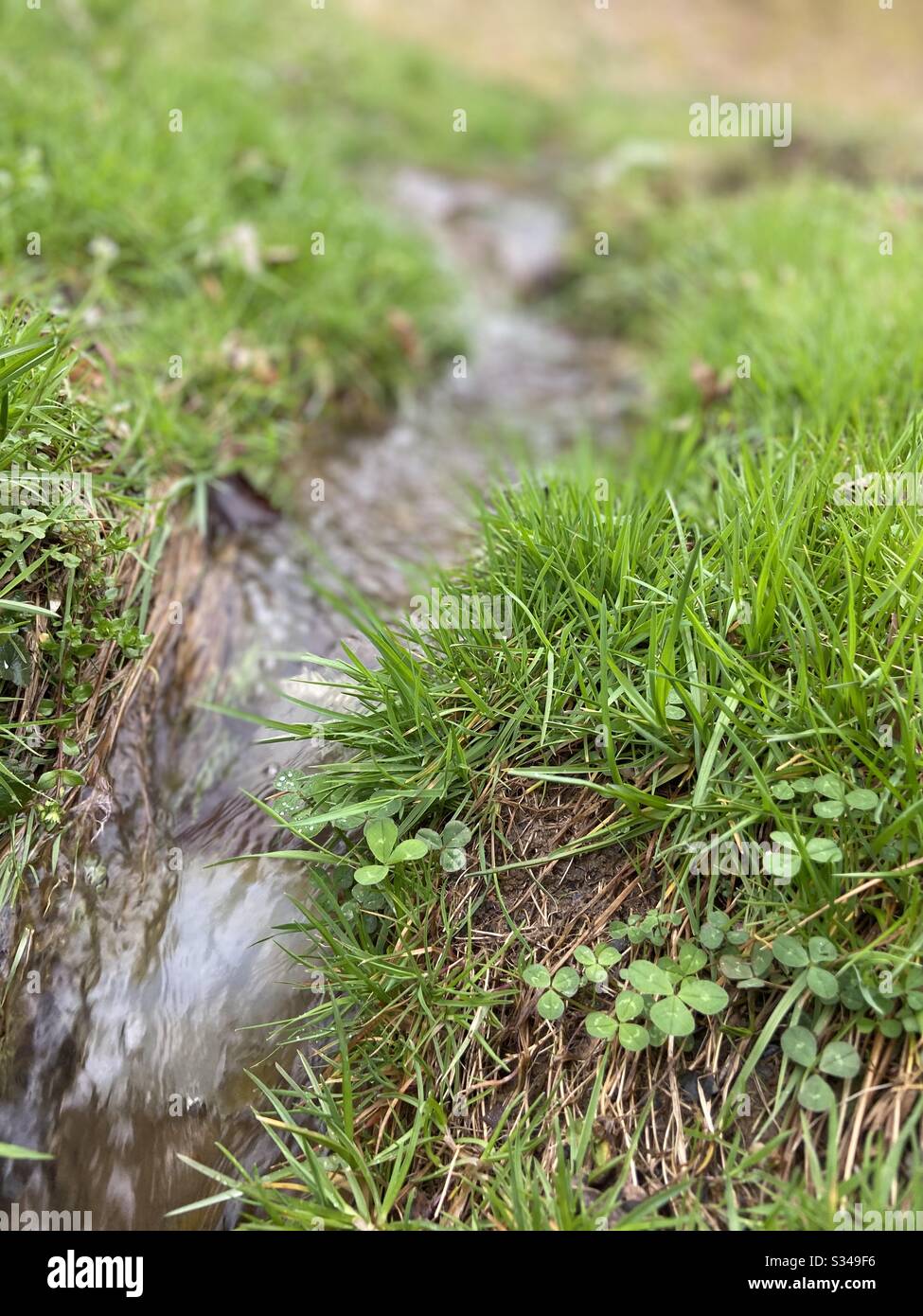 A little bit of spring water 💧 Stock Photo - Alamy